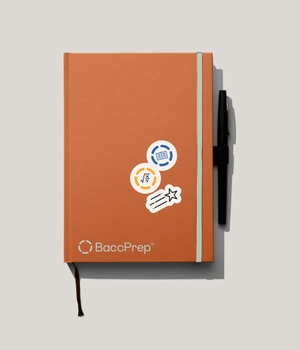 Baccprep Education - Brand Strategy & Digital Design | Atollon