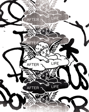 Afterlife - Brand Design & Shopify Website | Atollon